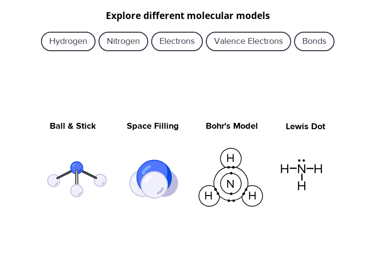 Molecular Compound Model